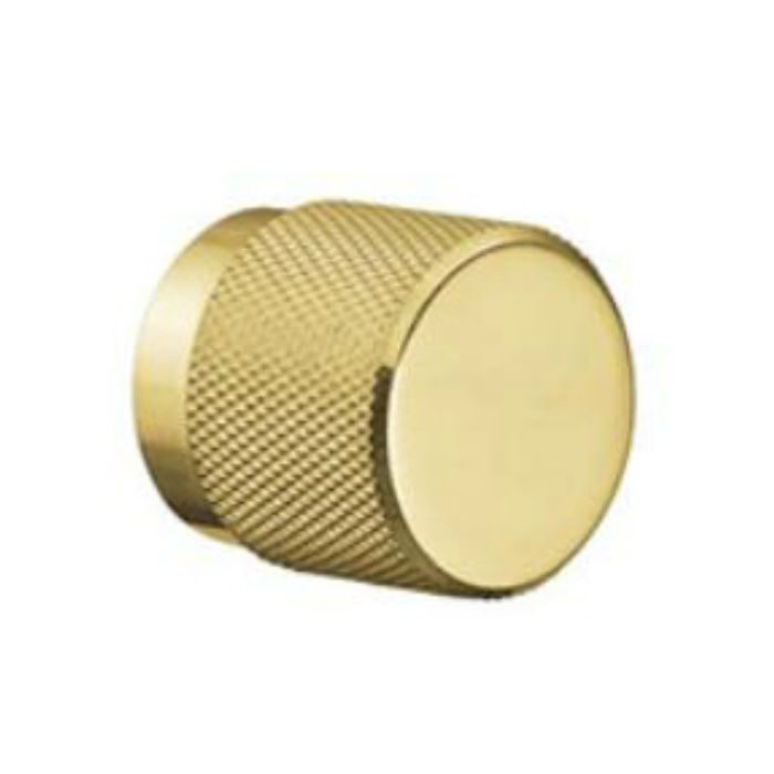 PRE-TH400-200 ツマミ φ20×22mm ミラー【翌日出荷】 ユニオン【アウンワークス通販】