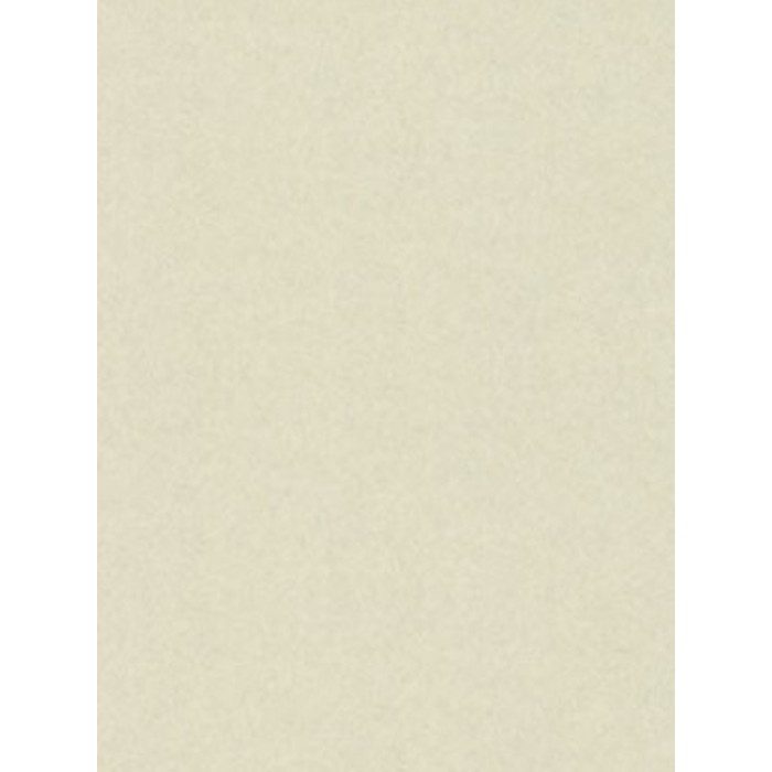 ES-5222 ベルビアンEX 内外装用 高機能性化粧フィルム シート幅1220mm グラニットヴェラム タキロンシーアイ【アウンワークス通販】