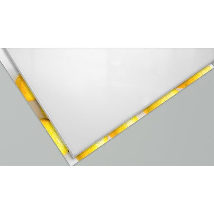 ECD3031UU ポリカーボネート板 ポリカエース 一般グレード（両面耐候） 8.0×1000×2000mm オパール 住友ベークライト ...