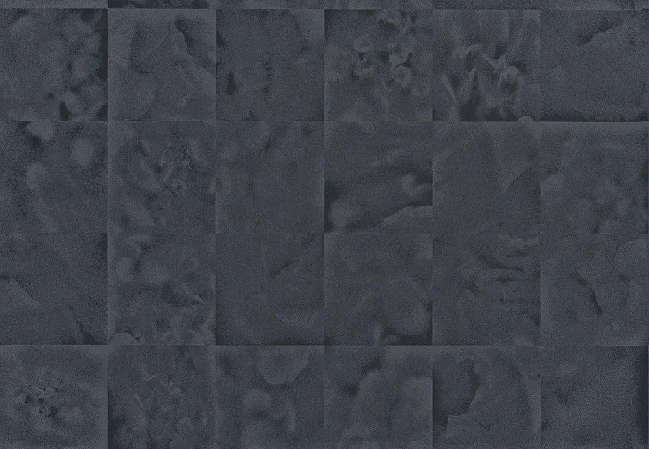 RE55073 リザーブ process#100 FLORAL MEMORY 巾925mm サンゲツ【アウンワークス通販】