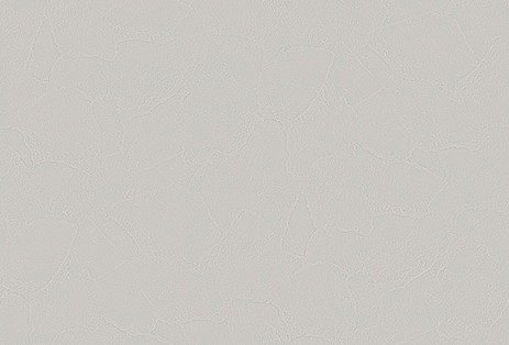 RE55390 リザーブ ライトフレッシュ壁紙 巾925mm サンゲツ【アウンワークス通販】