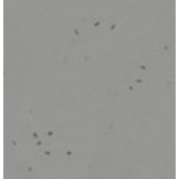 SPH-50216 単層ビニル床シート スフィラ エナジェティック 厚さ2×幅2000mm 田島ルーフィング【アウンワークス通販】