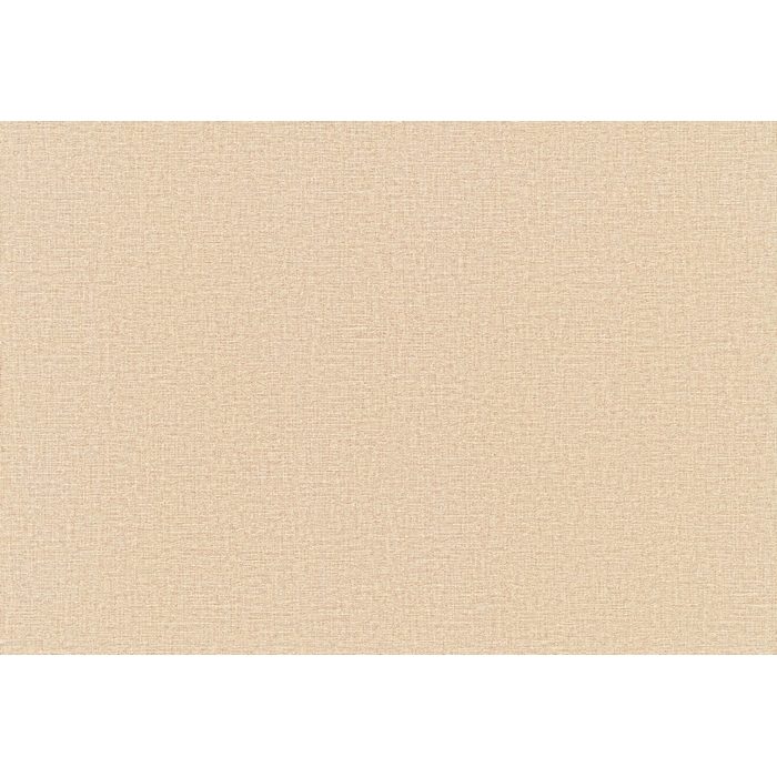 TS2423 ホスピリュームNW ニュアンスウィーブ 2.0×1820mm巾 東リ【アウンワークス通販】